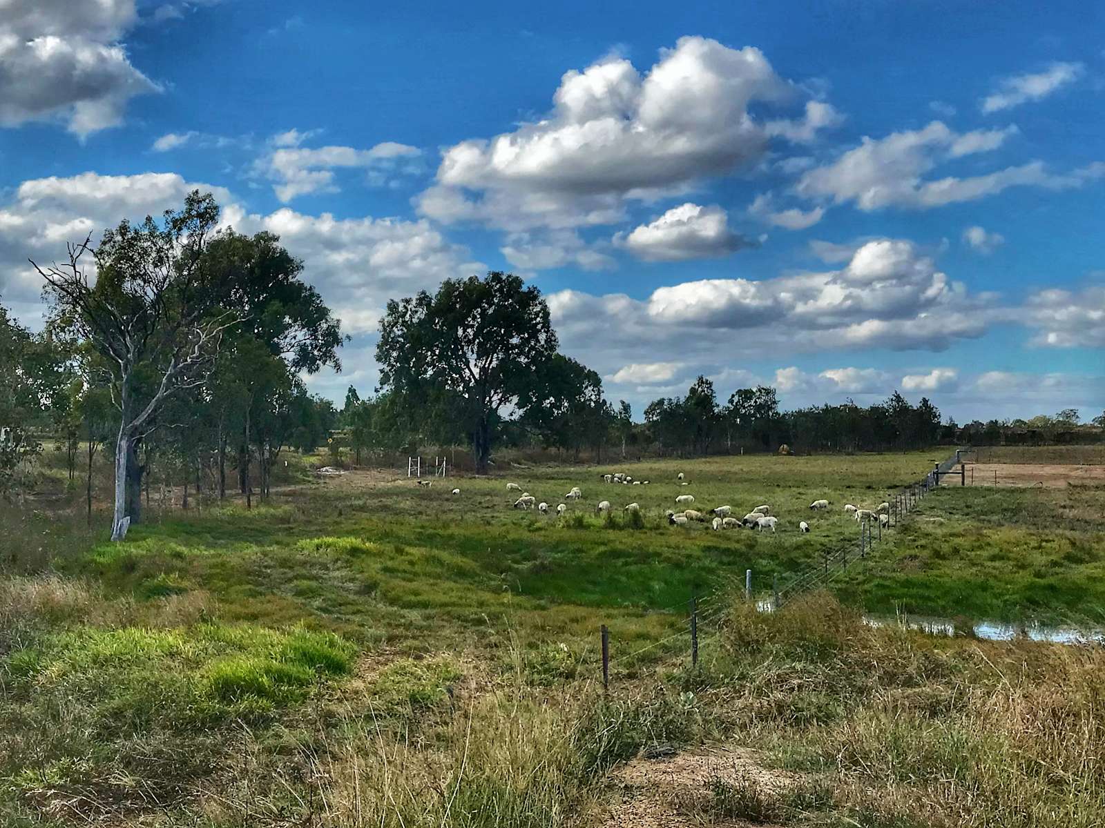 Hectic Valley Farm - Hipcamp in , Queensland