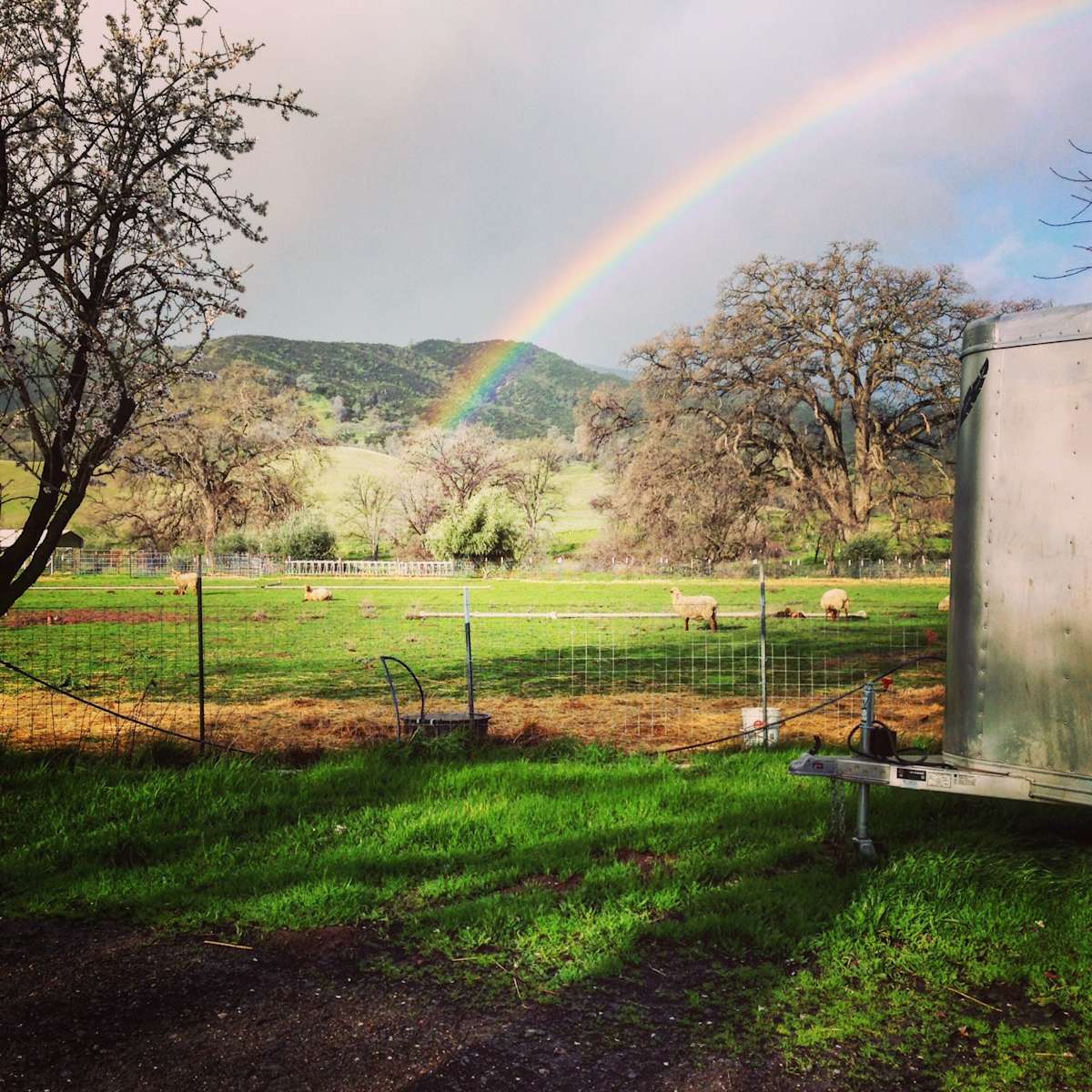 One653-Oh - Hipcamp in Esparto, California