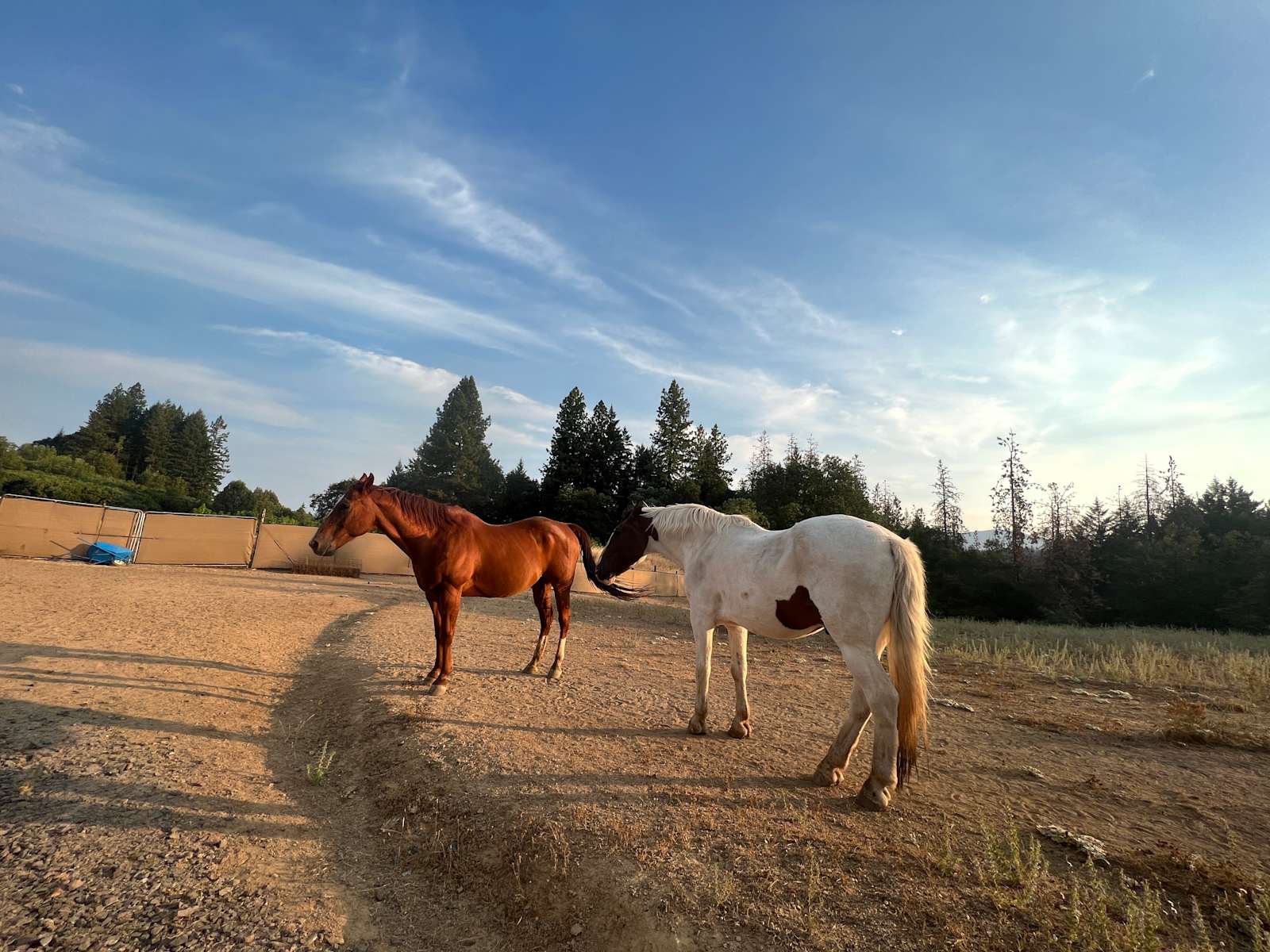 Silver Dragon Ranch - Hipcamp in Willits, California