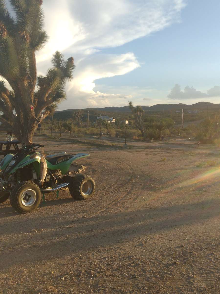 Joshua Re-TREE-t - Hipcamp in Meadview, Arizona