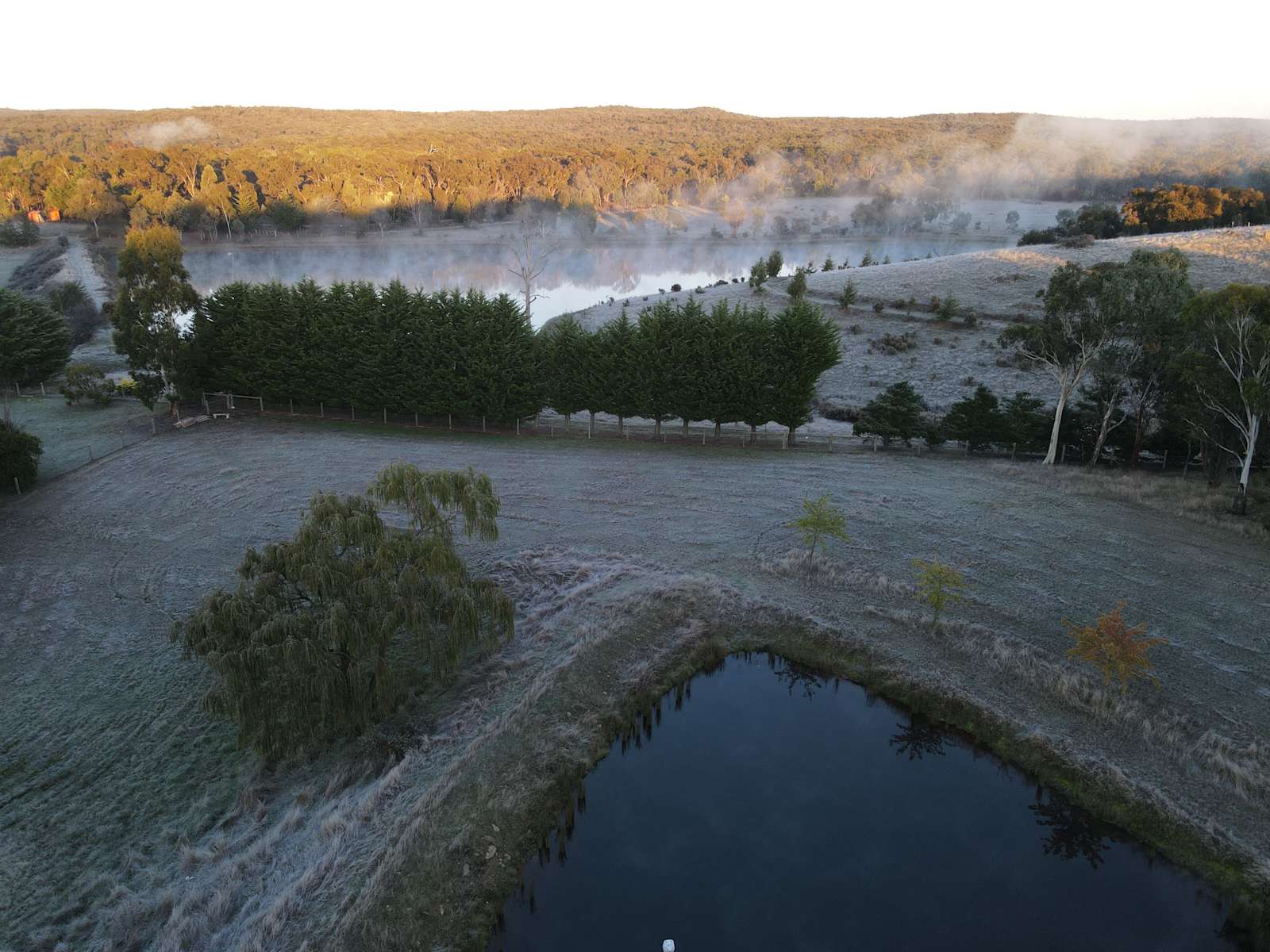 The back paddock at 5 Acre Farm - Hipcamp in Taradale, Victoria