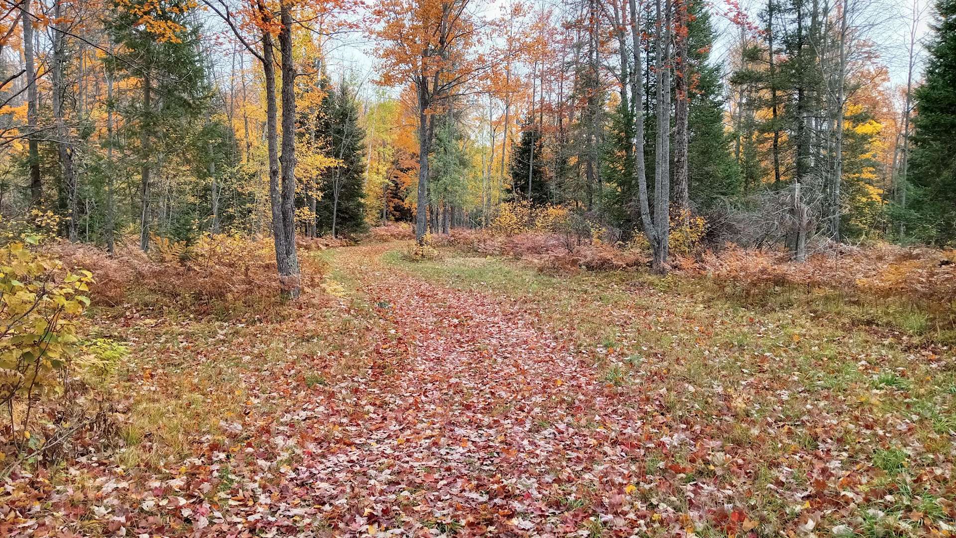 Playground Camp of the UP - Hipcamp in Alpha, Michigan