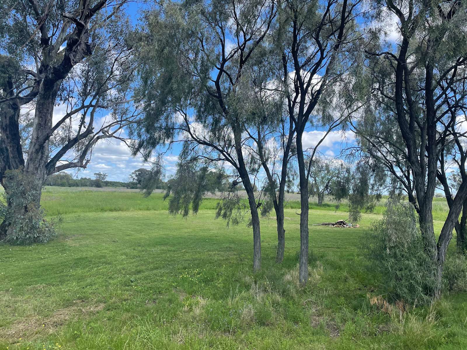 Roen at Kelvin - Hipcamp in Gunnedah, New South Wales