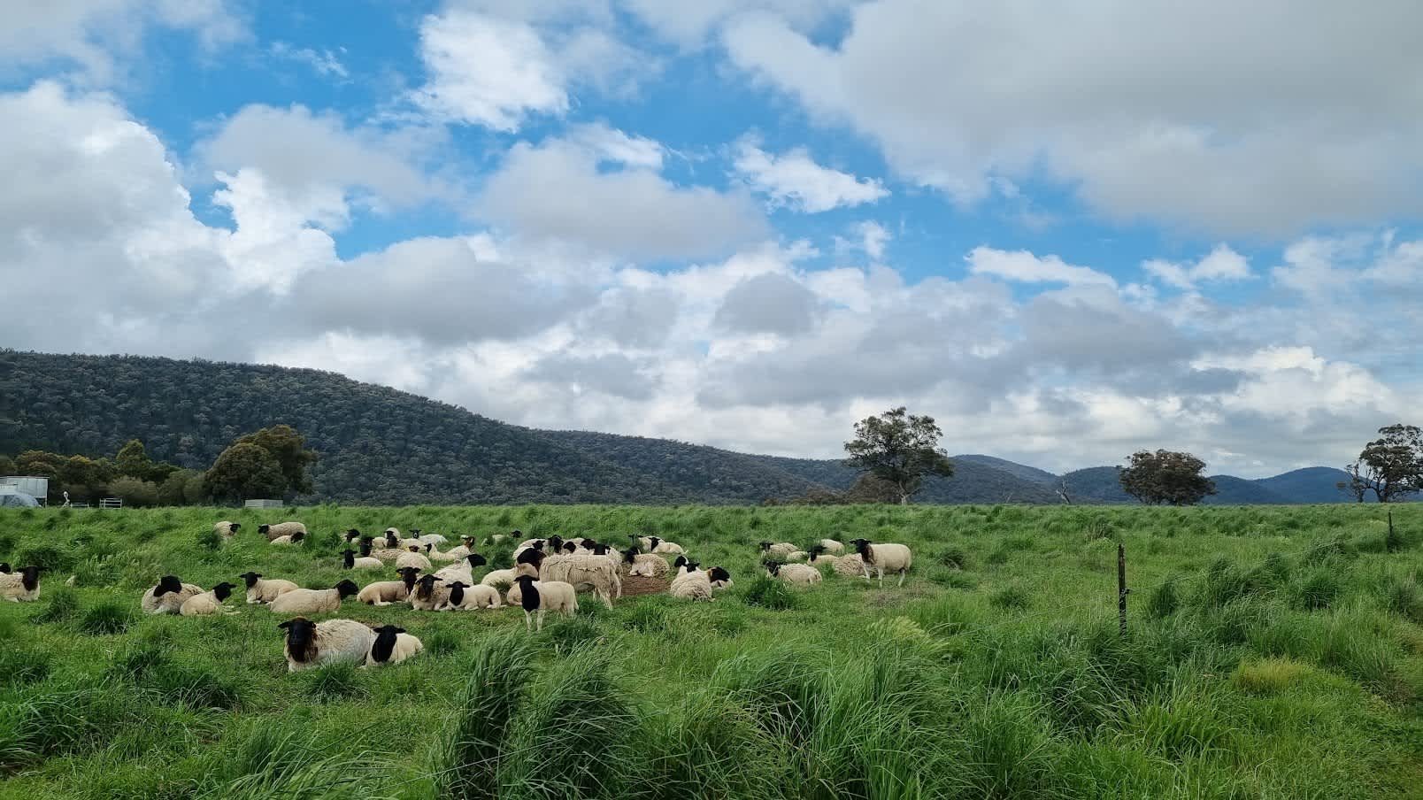 Kurrafalls Farm - Hipcamp in Orange, New South Wales