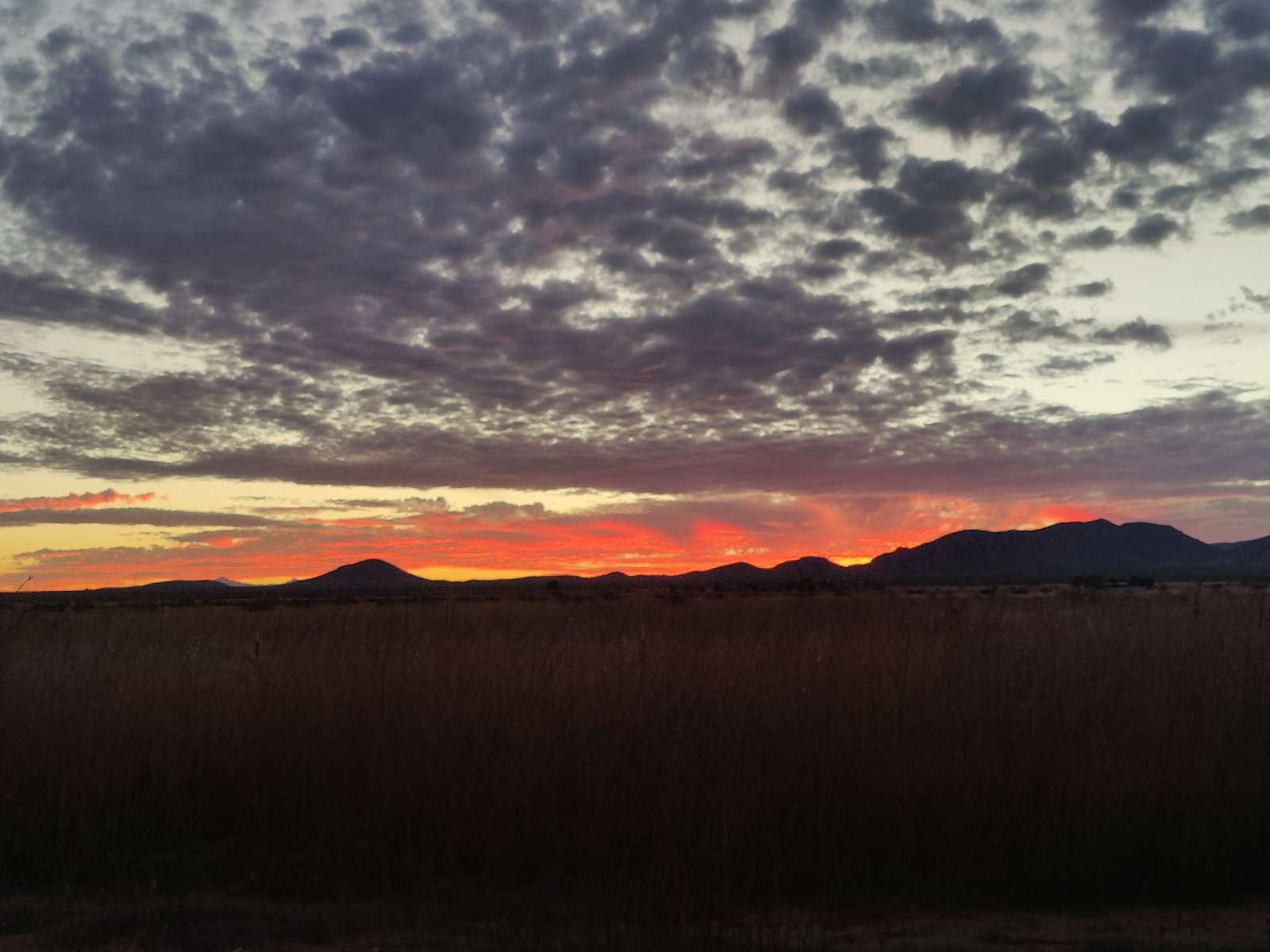 Craneshearth - Hipcamp in Elfrida, Arizona
