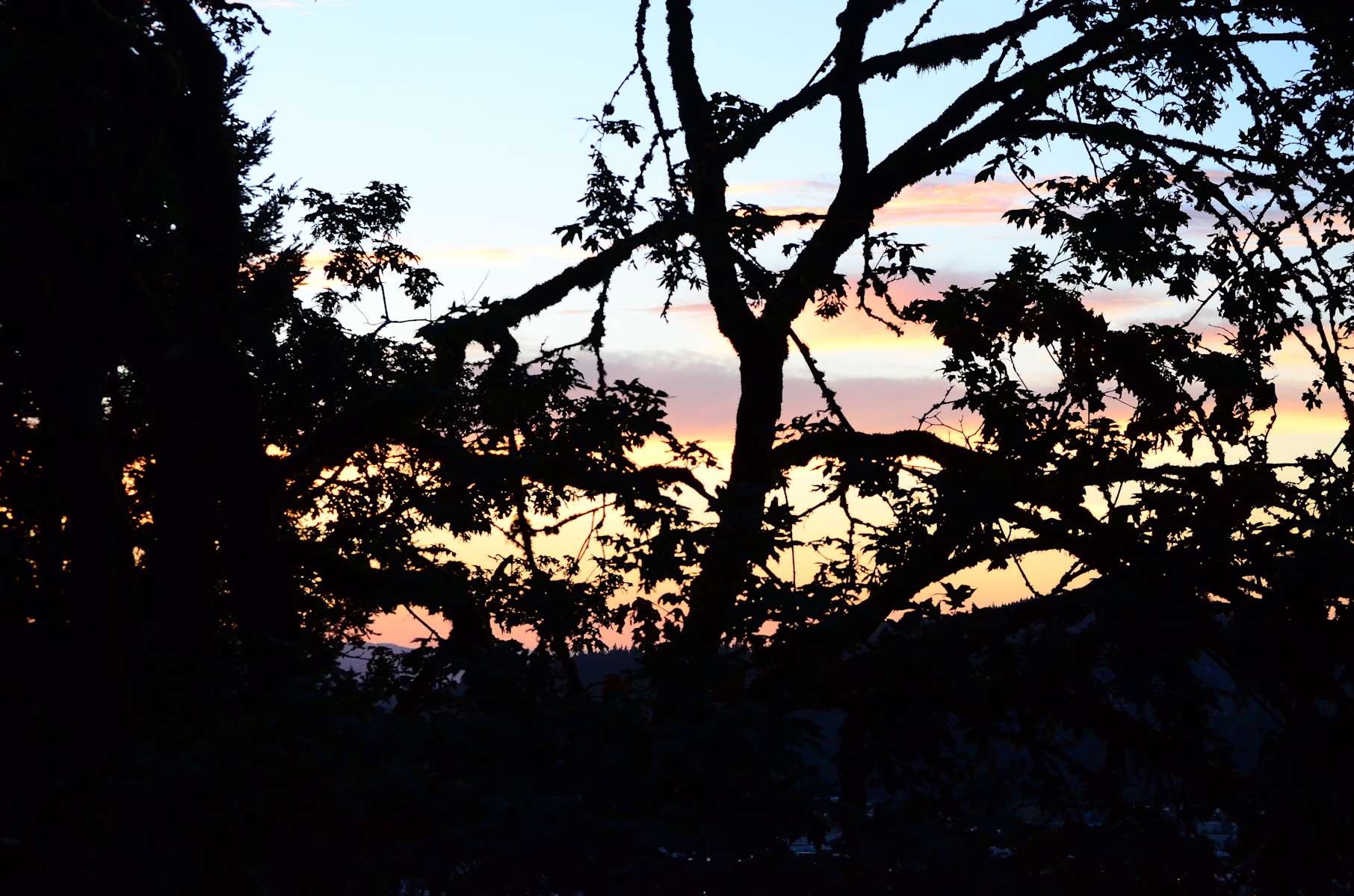 The Boat farm - Hipcamp in Johnson City, Oregon