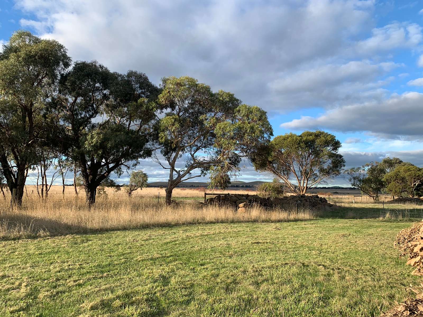 Star Gazer in Clunes - Hipcamp in , Victoria