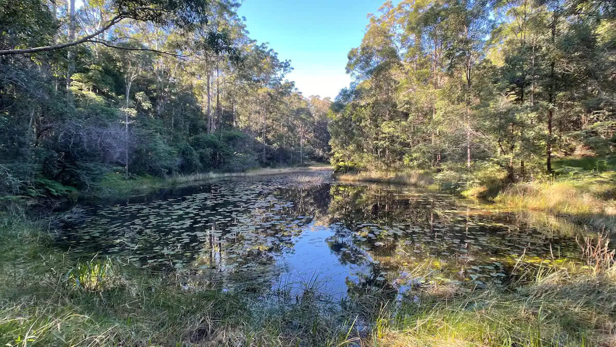 Mapleton Farm Retreat cottages - Hipcamp in Coolabine, Queensland