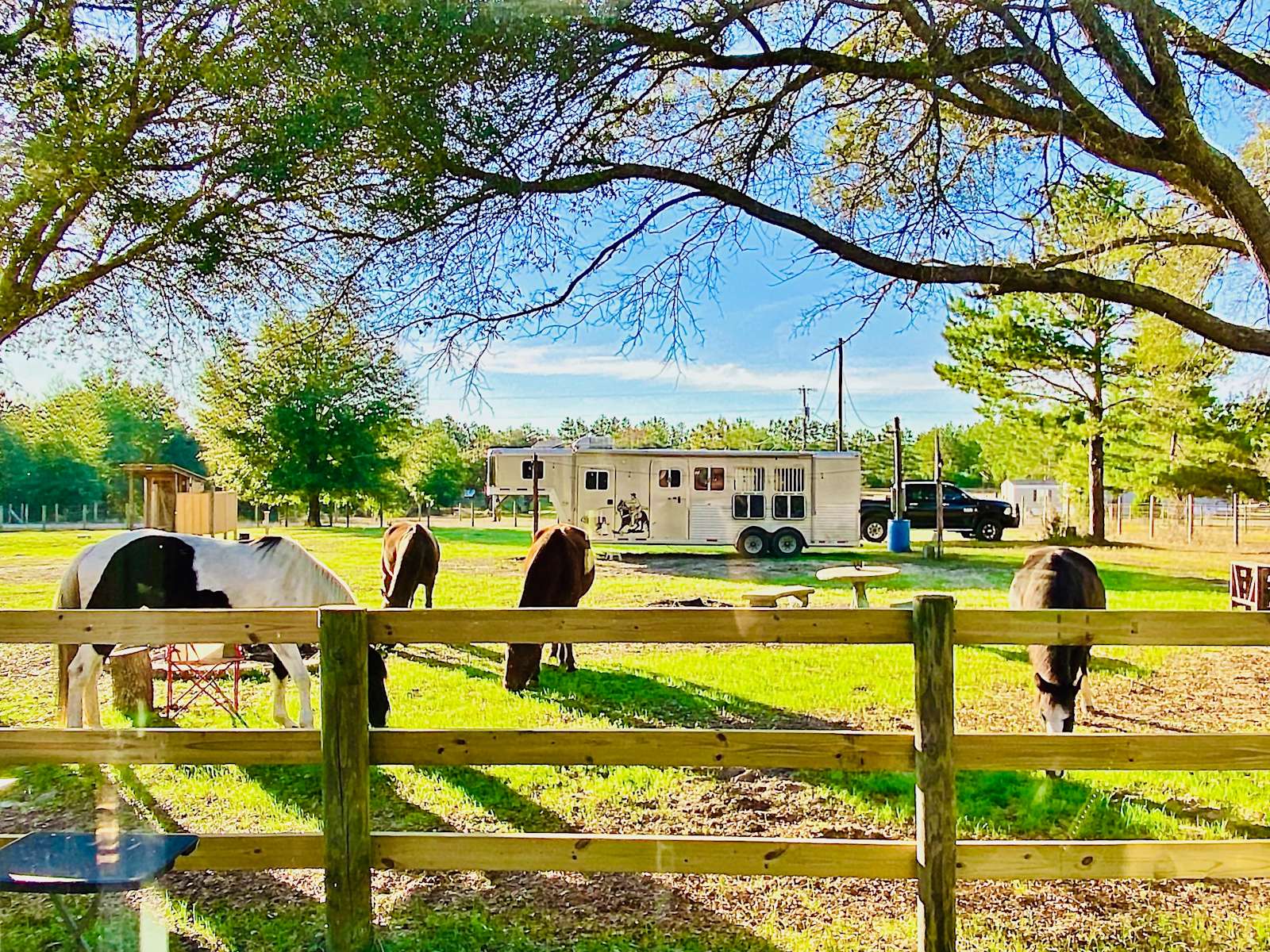 Farm Cottage & RV Near Beaches - Hipcamp in Harold, Florida