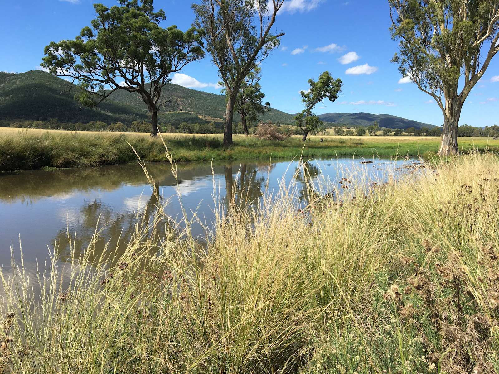 Mt Hope Camping - Hipcamp in , New South Wales