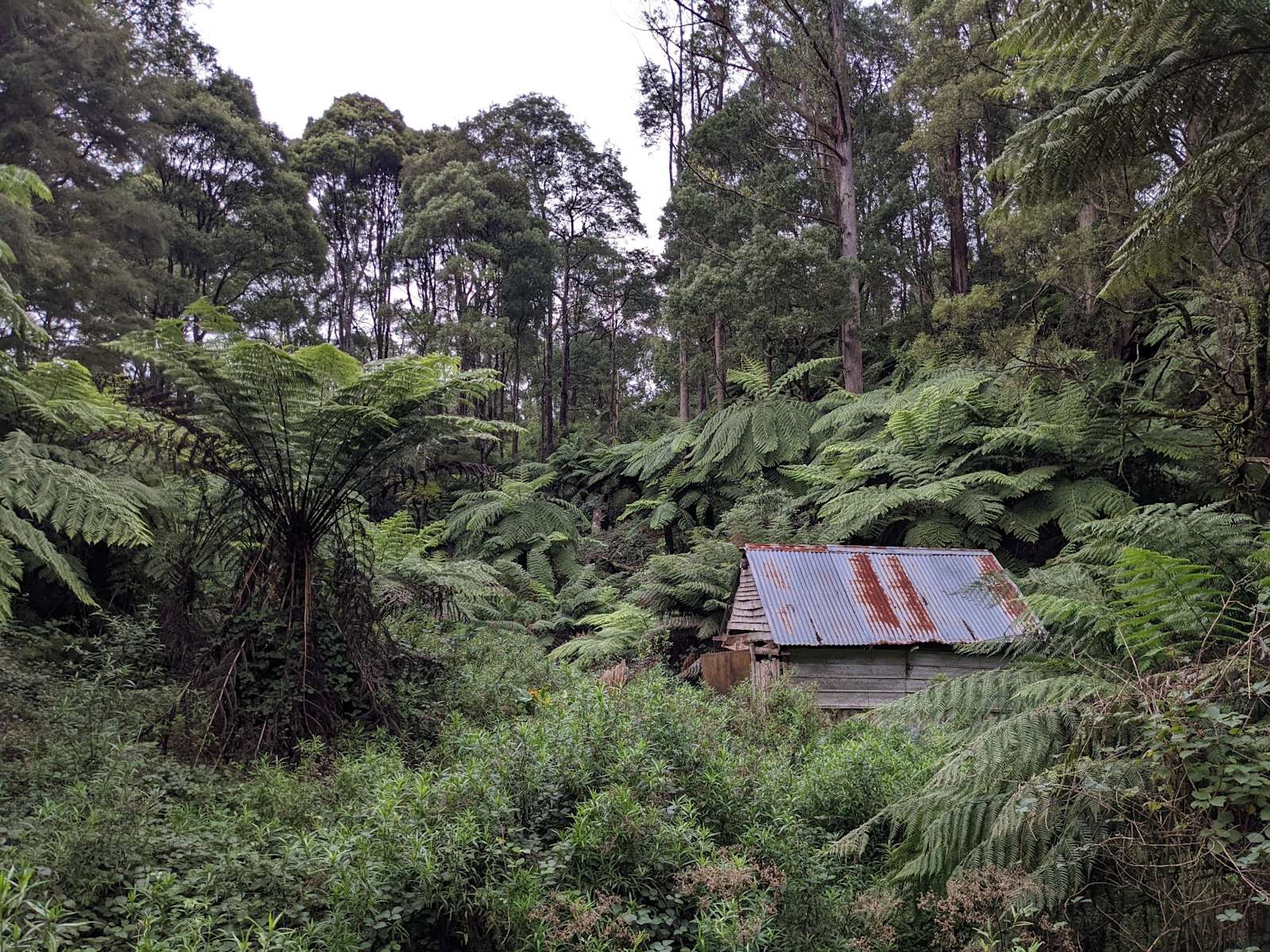 Mountain Life Retreat - Hipcamp in Mount Best, Victoria