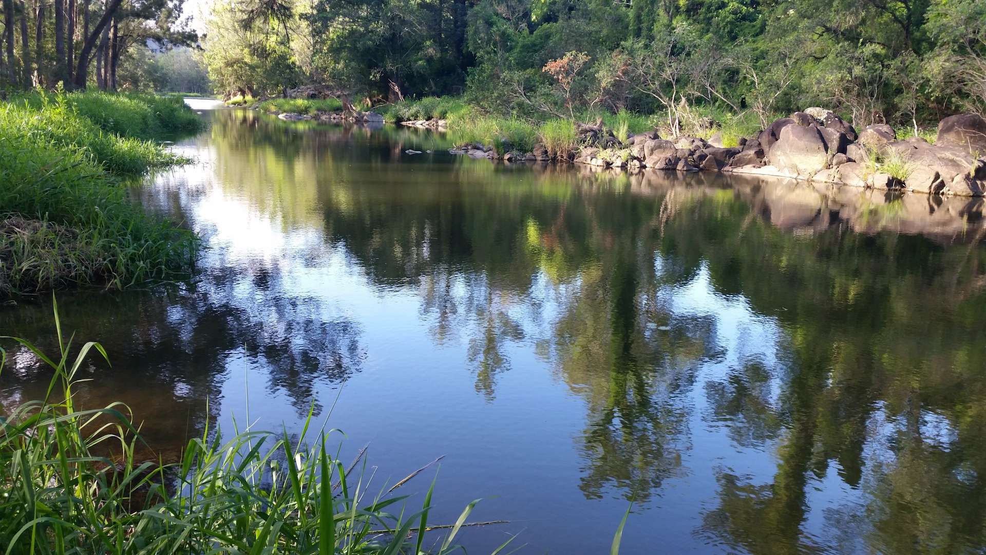 Gold Coast Riverfront Camping - Hipcamp in Advancetown, Queensland