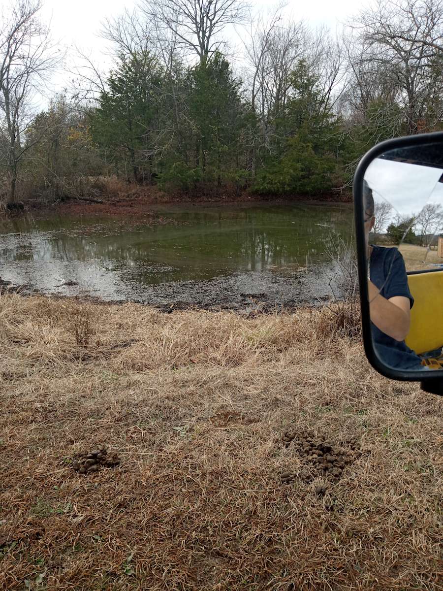 Bells ranch - Hipcamp in Mansfield, Arkansas