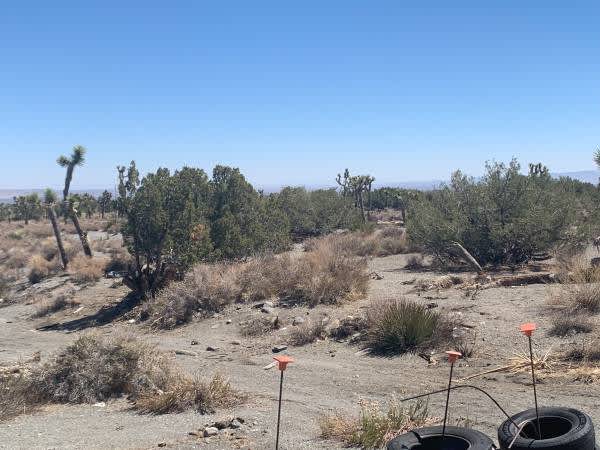 Sanchez Desert Camping Lot - Hipcamp in Piñon Hills, California