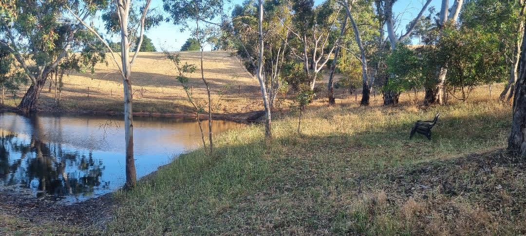 Cockatoo Valley Tiny Vacations - Hipcamp in Cockatoo Valley, South ...