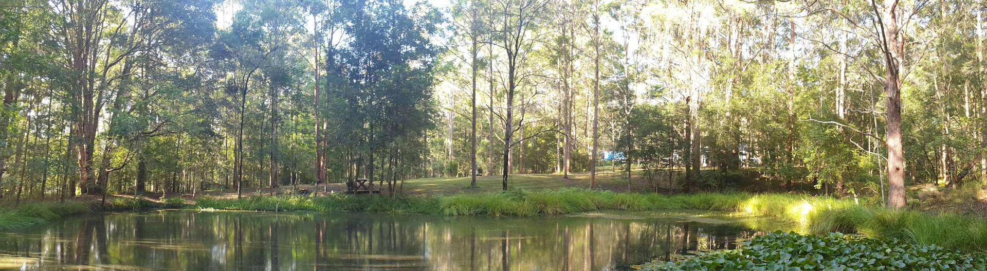 Fern Gully - Hipcamp in Mandalong, New South Wales