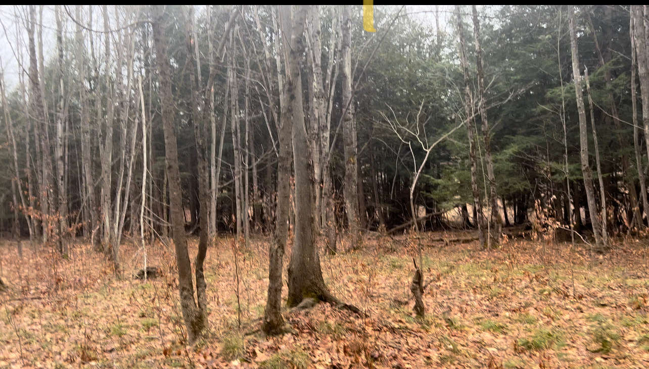 Natureboo Escape - Hipcamp in Sheldon, Vermont