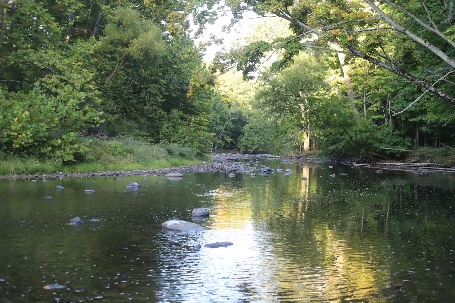 Hudson Valley River Camp - Hipcamp in Watchtower, New York