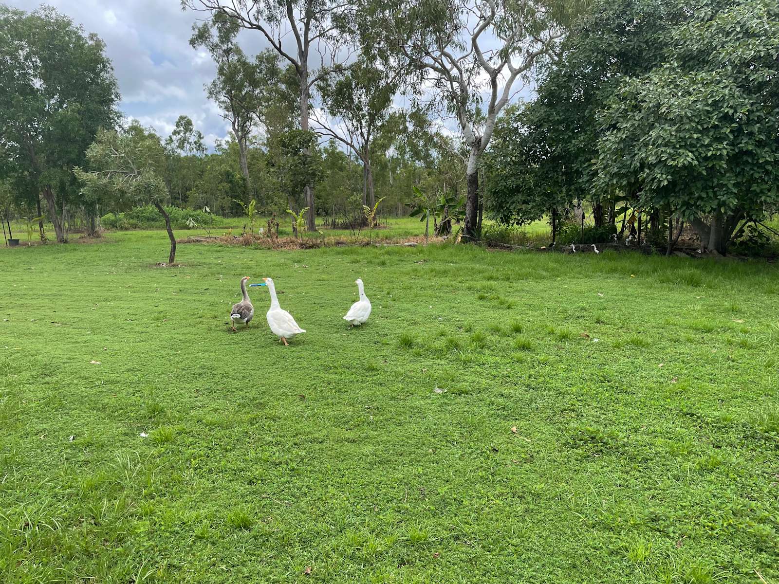 Tumbling Waters Farm Stay - Hipcamp in Humpty Doo, Northern Territory