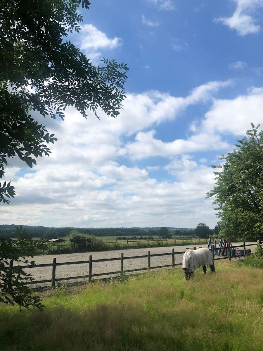 Hartfield Farm - Hipcamp in East Sussex, England