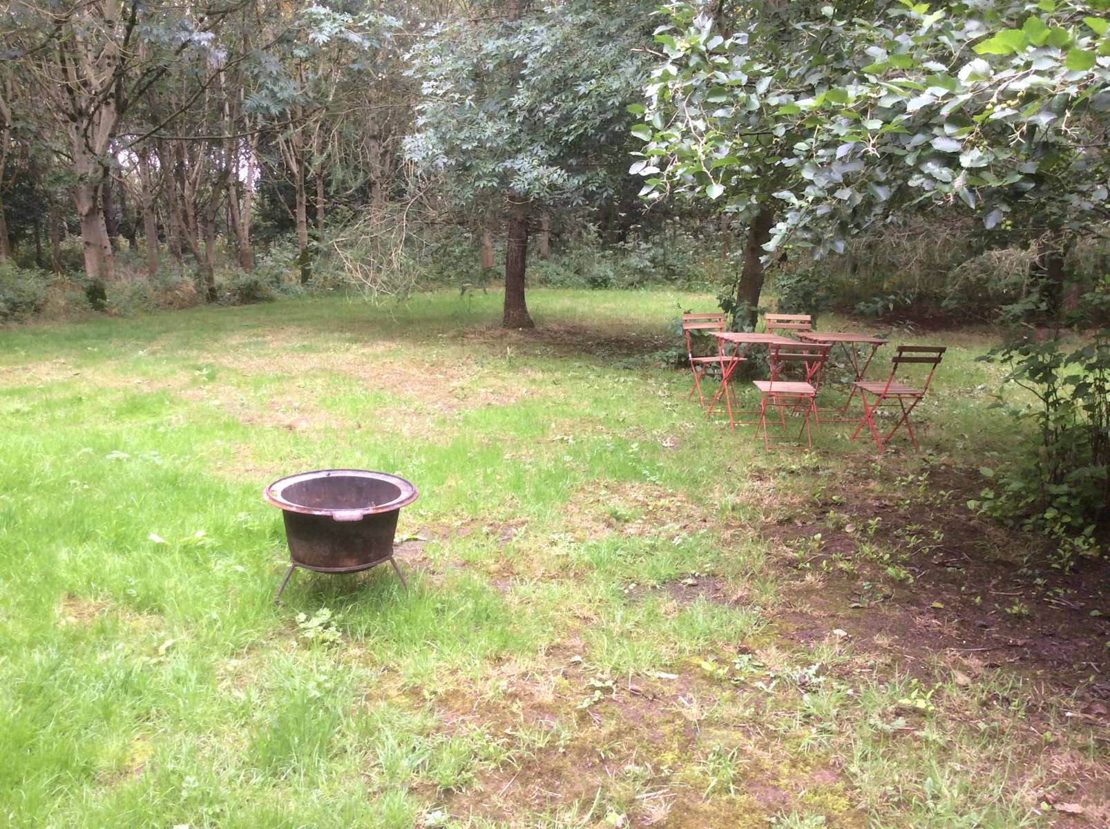 Wild woodland pitch @ camp couture - Hipcamp in Barnstaple, England