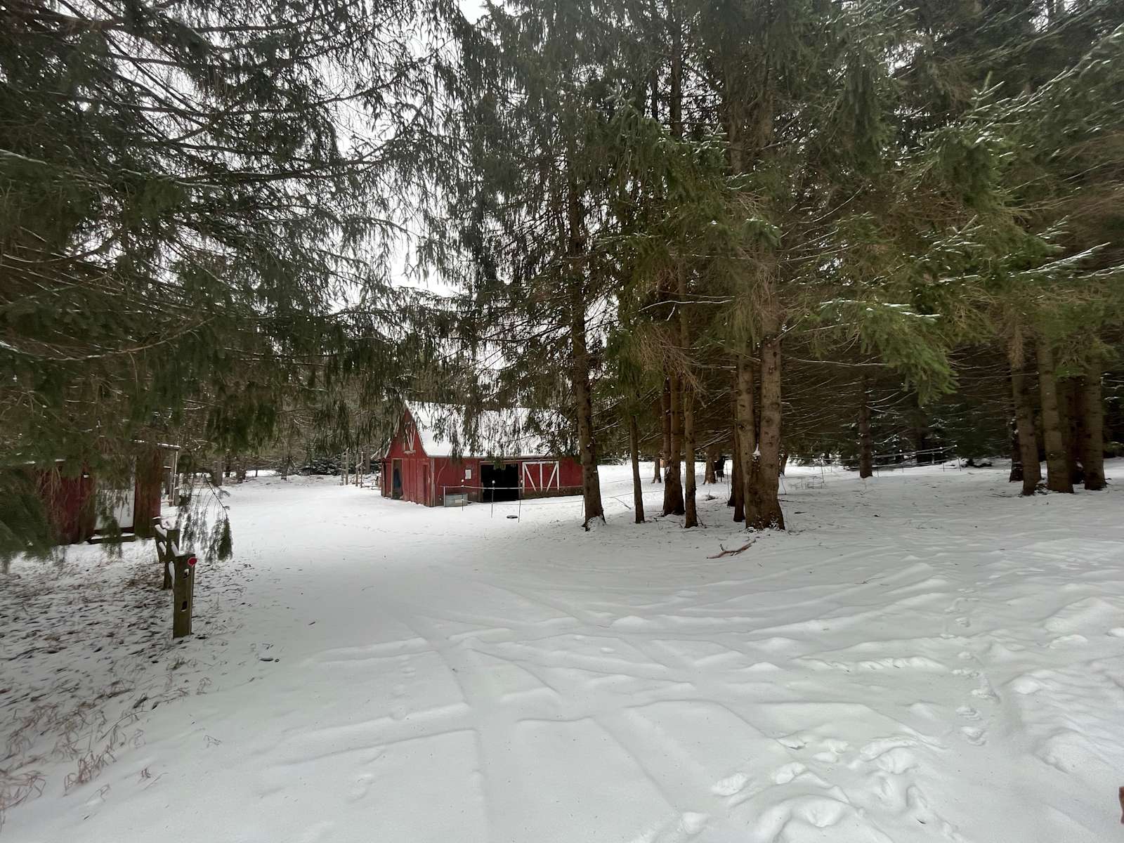 Brown Family Farm - Hipcamp in Lake Ann, Michigan