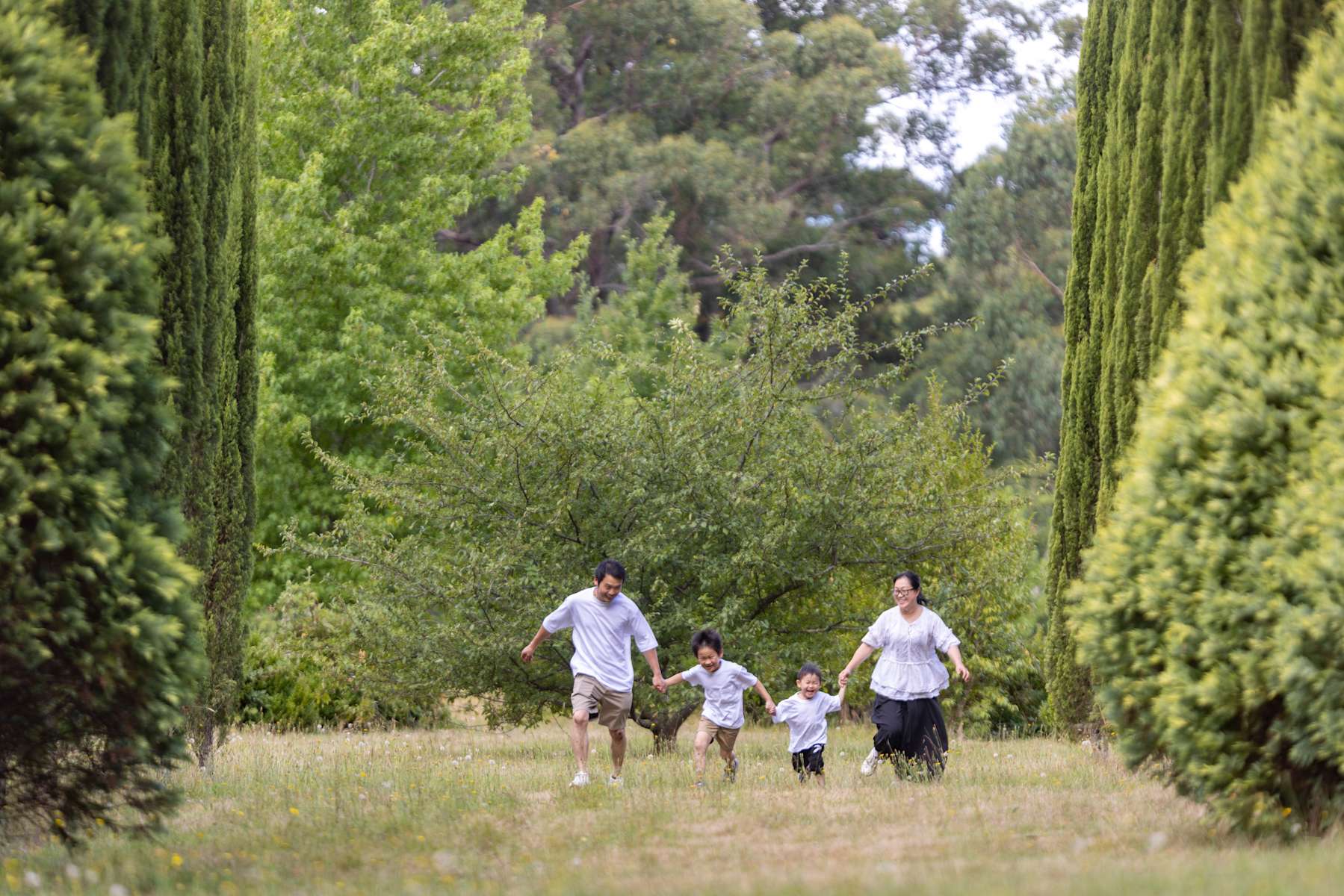 Farm fun day - Gilderoy - Hipcamp in Gilderoy, Victoria