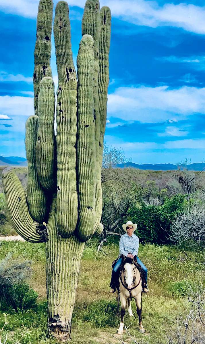 JC Performance Horses, LLC - Hipcamp in Yarnell, Arizona