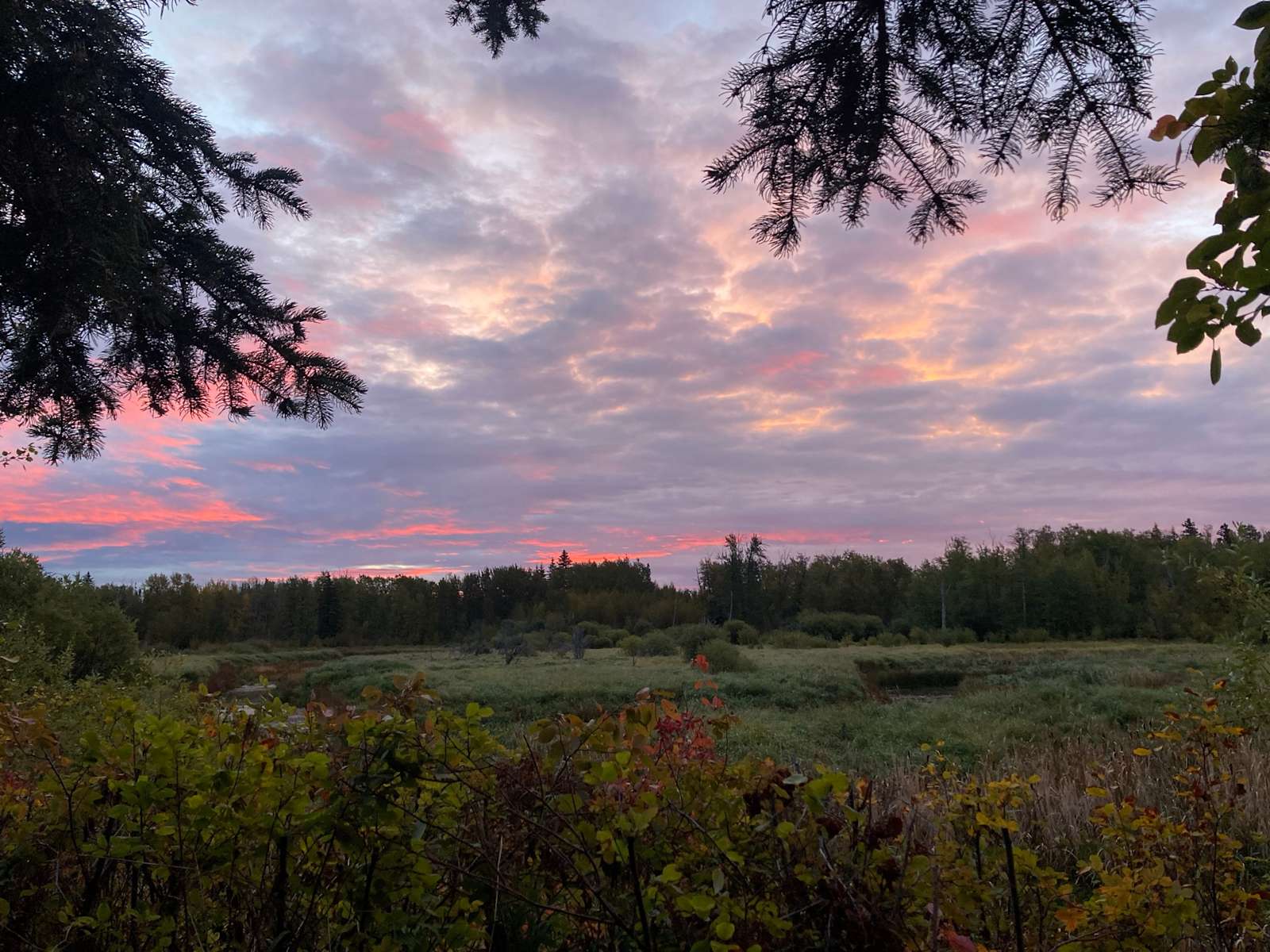 Red Willow River Landing - Hipcamp in Edmonton, Alberta