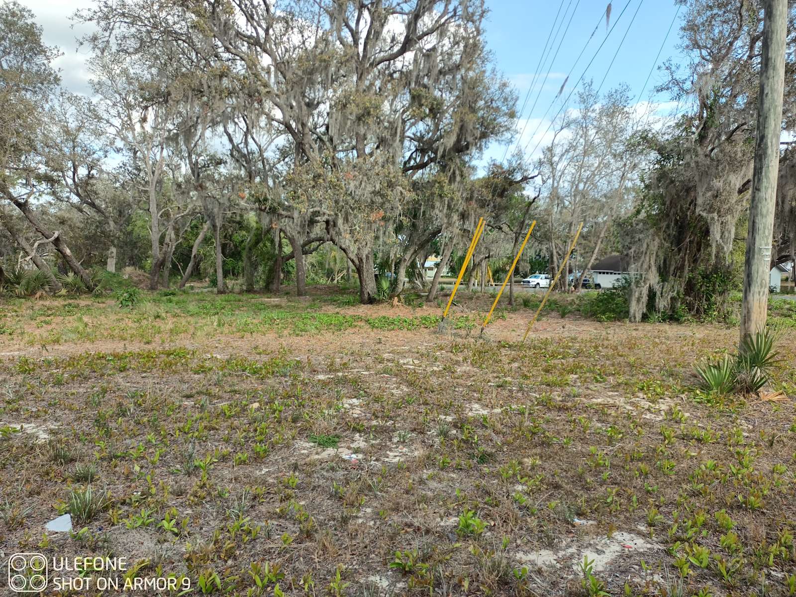 lake view land - Hipcamp in Sebring, Florida