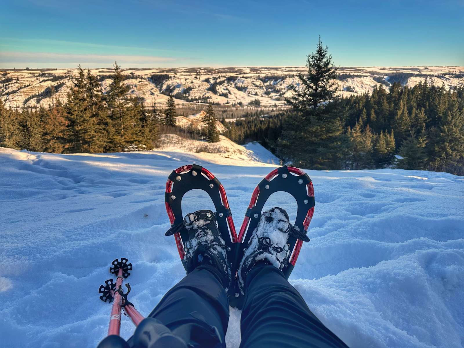 Running Reins Guest Ranch - Hipcamp in Stettler, Alberta