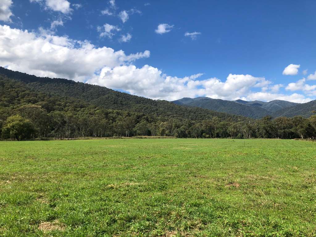 High Country Gold - Hipcamp in Smoko, Victoria