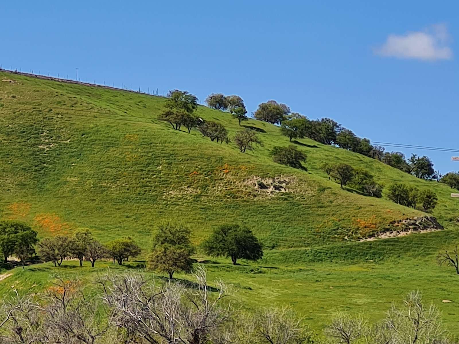 BIG VALLEY OPEN SKY - Central Coast - Hipcamp in San Miguel, California