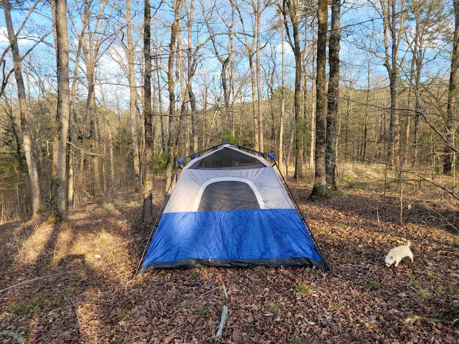 Possum kingdom farm - Hipcamp in Jessieville, Arkansas