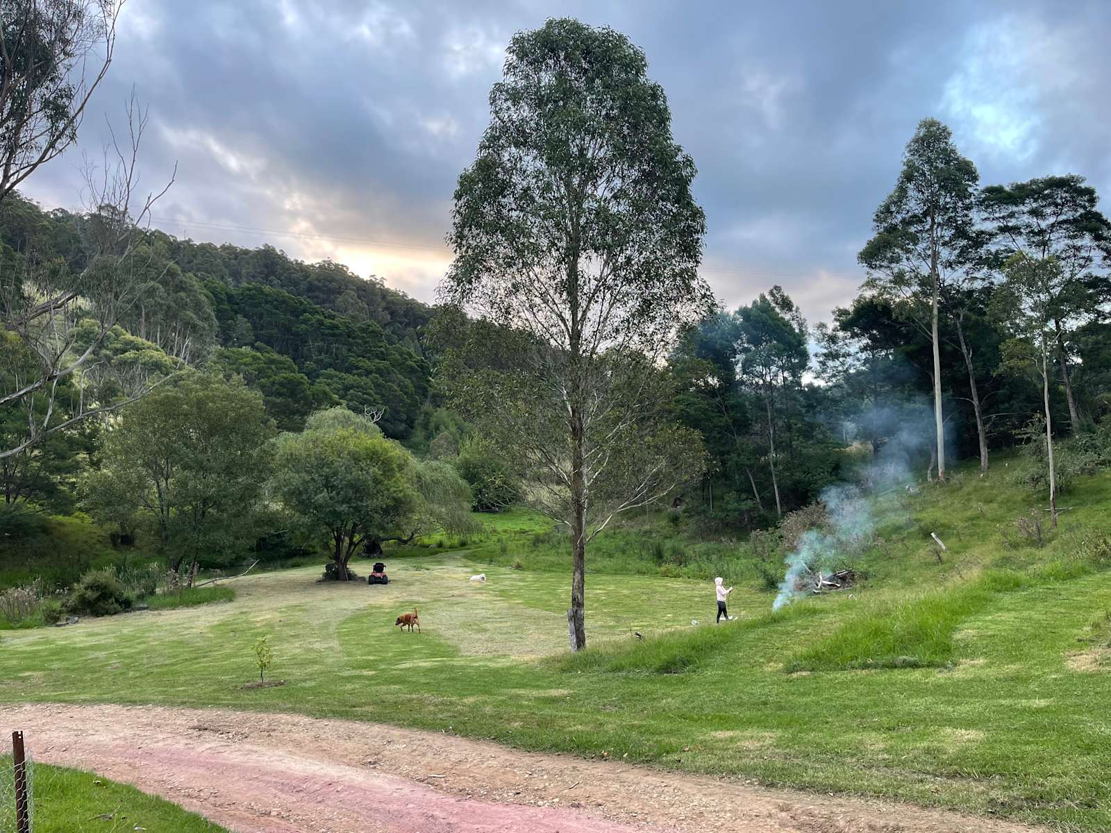 Rewild Farm - Hipcamp in Nethercote, New South Wales