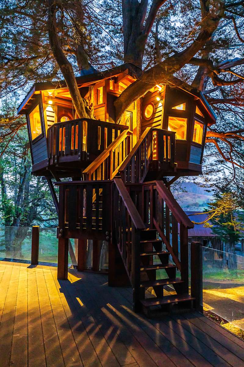 Stunning Treehouse & Cabin - Hipcamp in Half Moon Bay, California