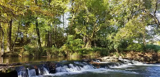 Friendship Falls Campground - Hipcamp in Cosby, Tennessee