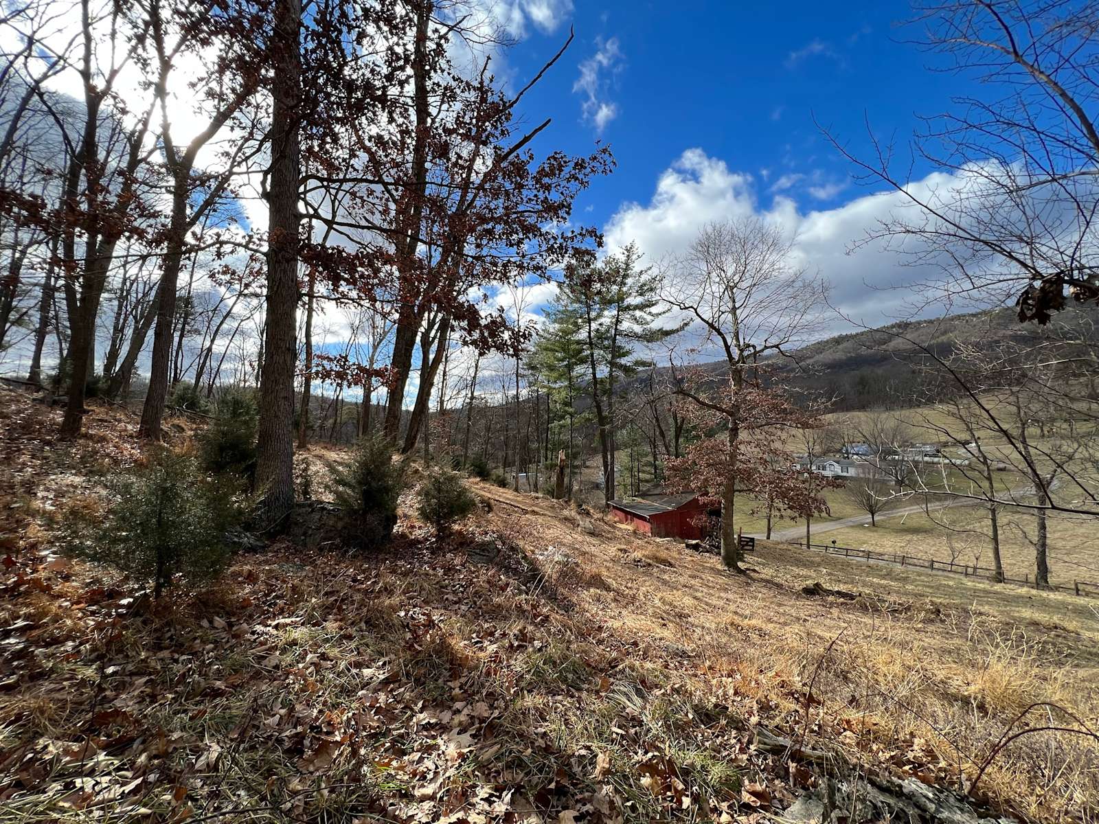 Enchanted Forest Off Grid Farm - Hipcamp in Broadway, Virginia