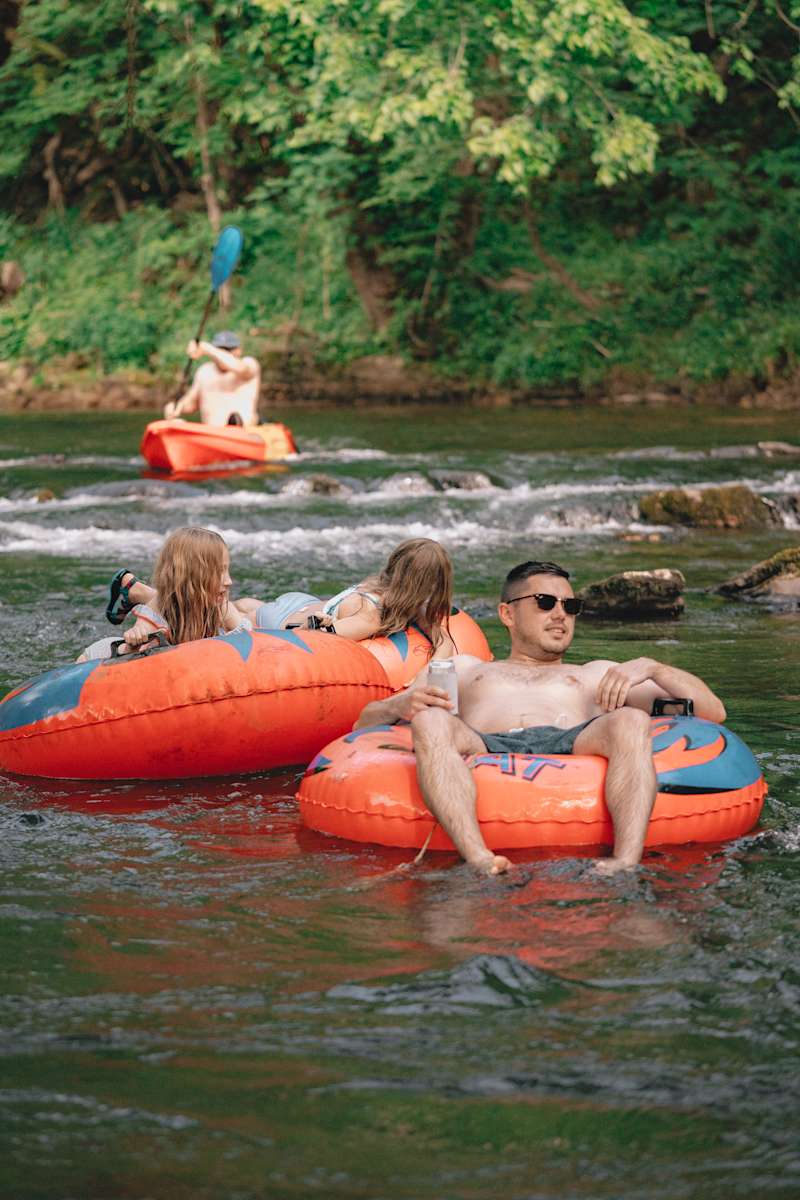 Ellis Cove - Hipcamp in Pittman Center, Tennessee