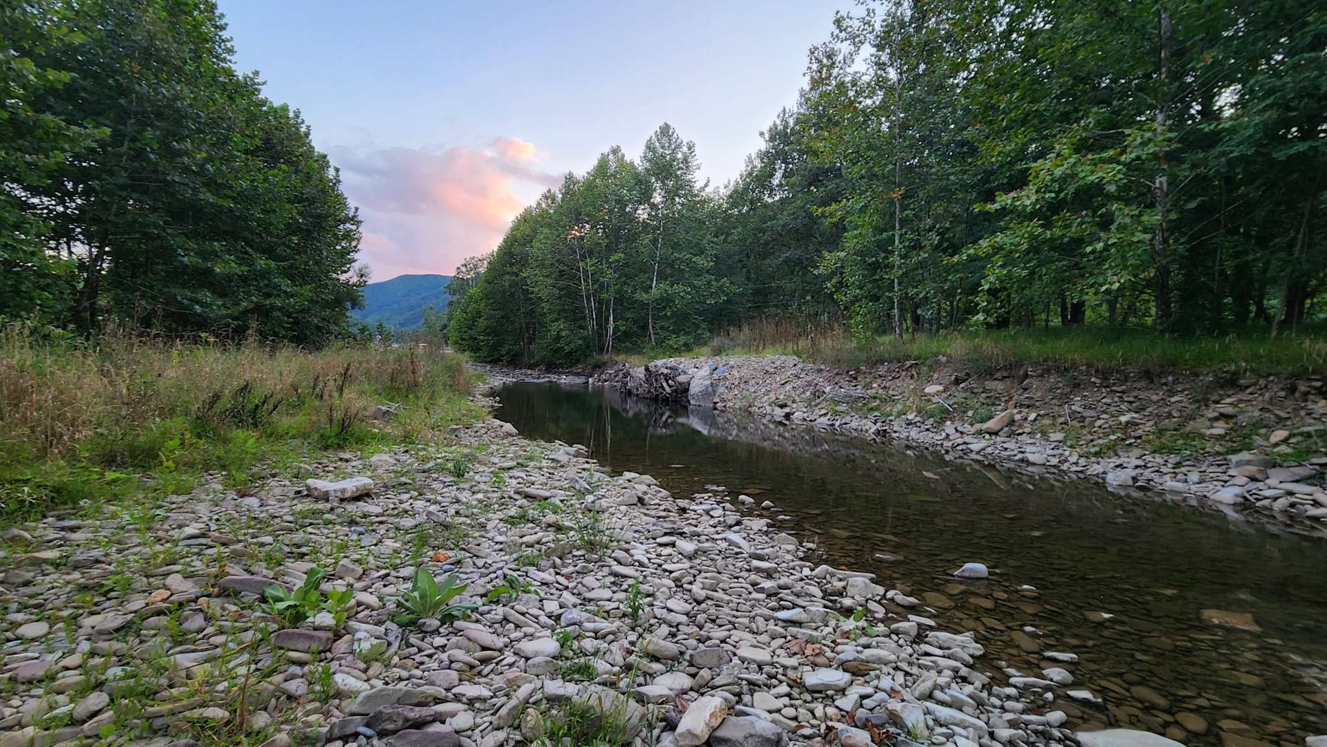 The Trout Camp - Hipcamp in Circleville, West Virginia