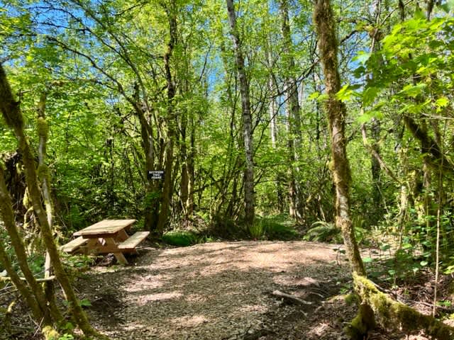 Cedar Groves Rural Campground - Hipcamp in , Washington