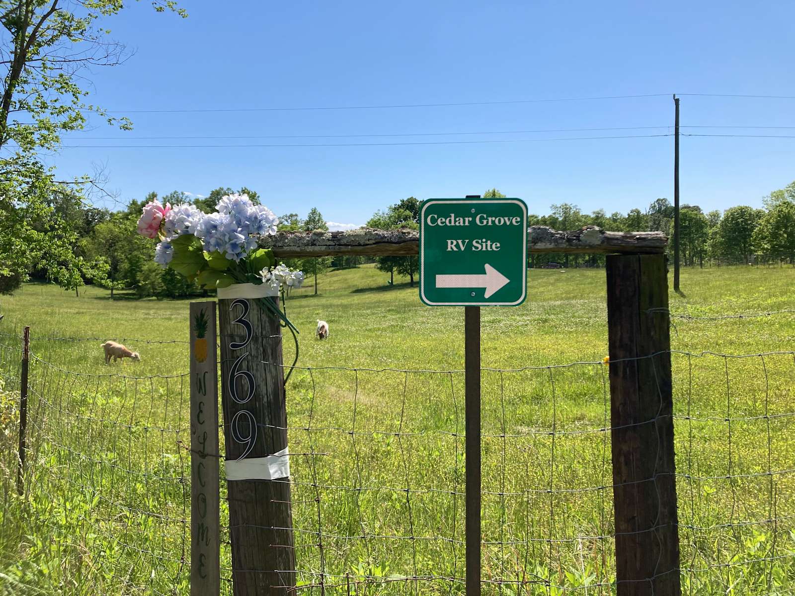 Cedar Grove Farm RV Site - Hipcamp in Clover, South Carolina