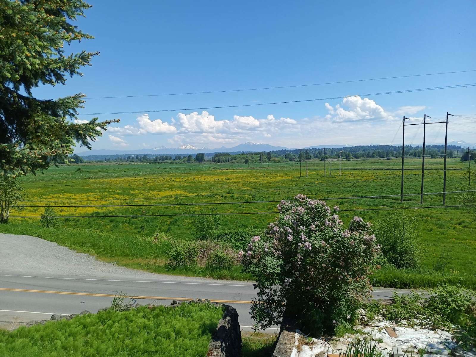 Aldergrove with Cascade Views - Hipcamp in Everett, Washington