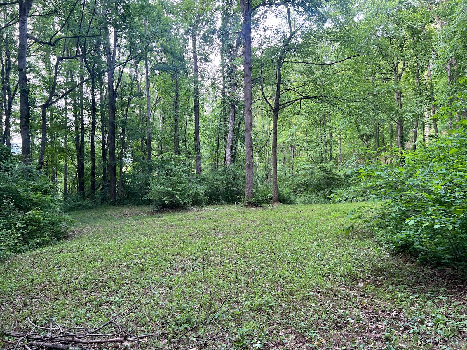 Talus Slope Farm - Hipcamp in Swannanoa, North Carolina