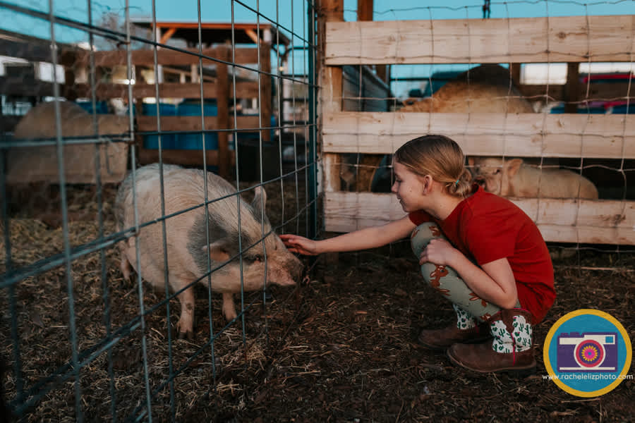 Kinsey Kountry Farm - Hipcamp in Mesa, Arizona