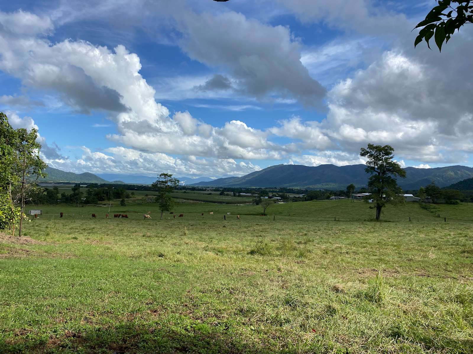 Tully Mountain Views - Hipcamp in Djarawong, Queensland