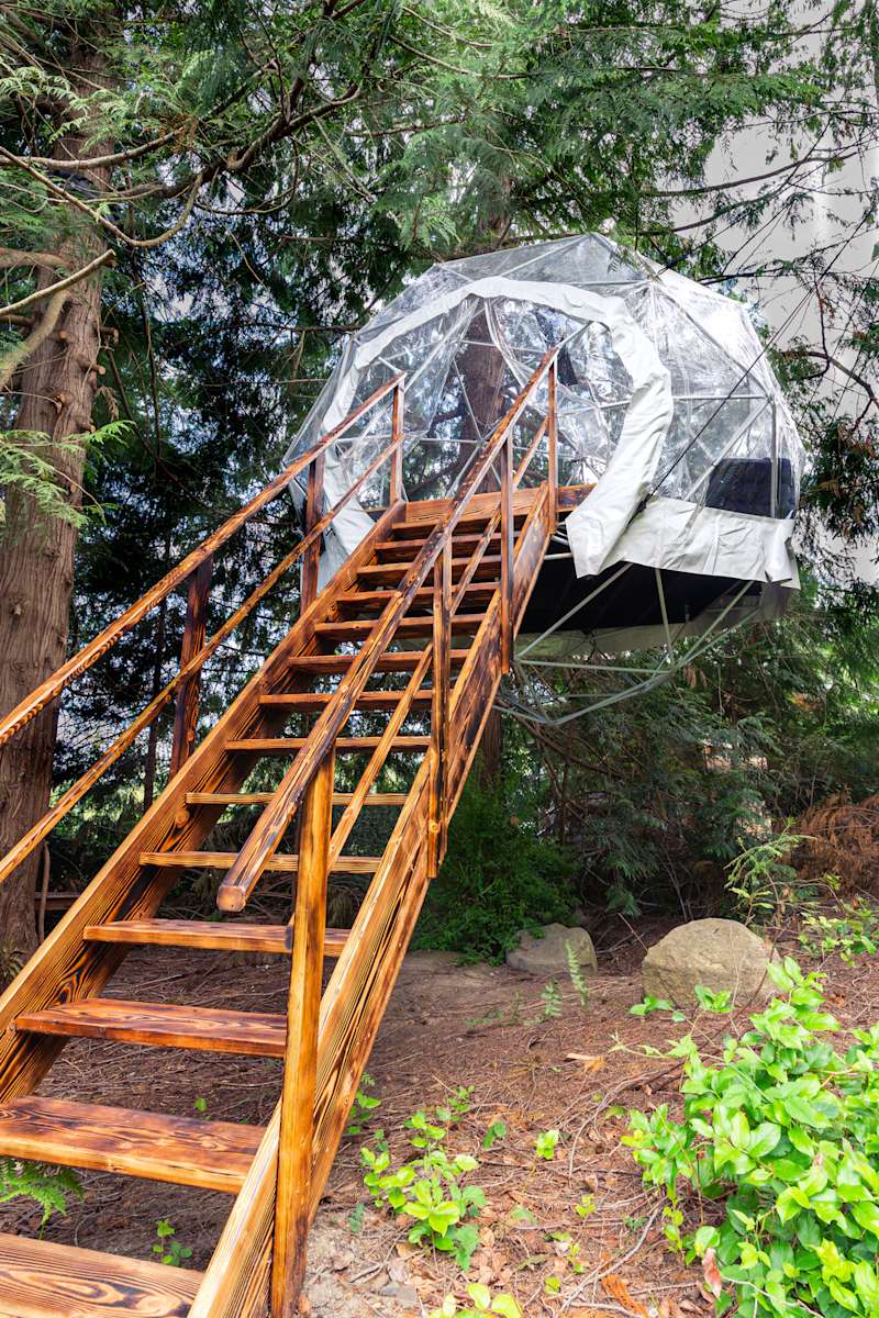 HangingTreehouse Sphere - Hipcamp in Saltspring Island, British Columbia