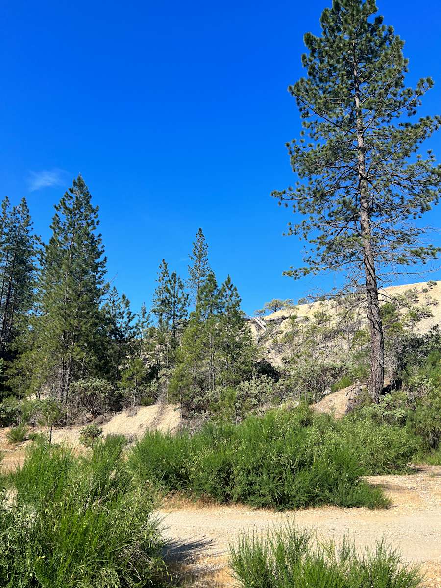 Crespillo Mountain - Hipcamp in Grass Valley, California