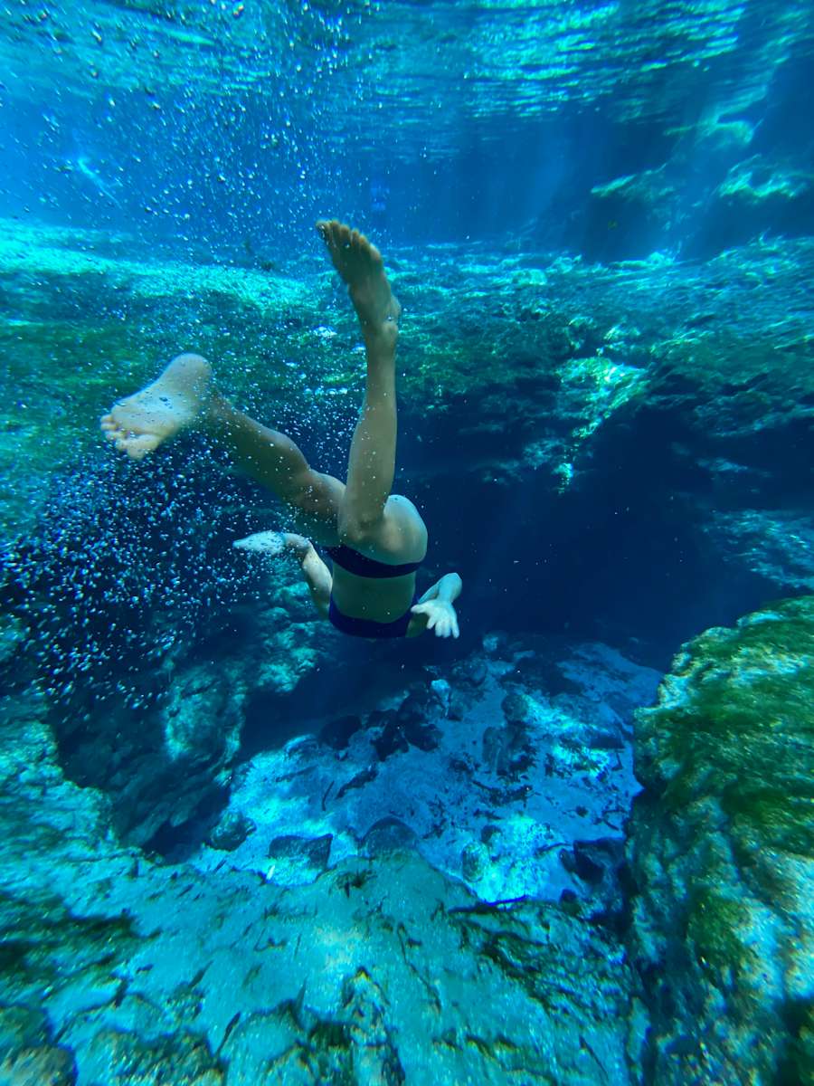 Peacefield Farm Sanctuary - Hipcamp in Newberry, Florida