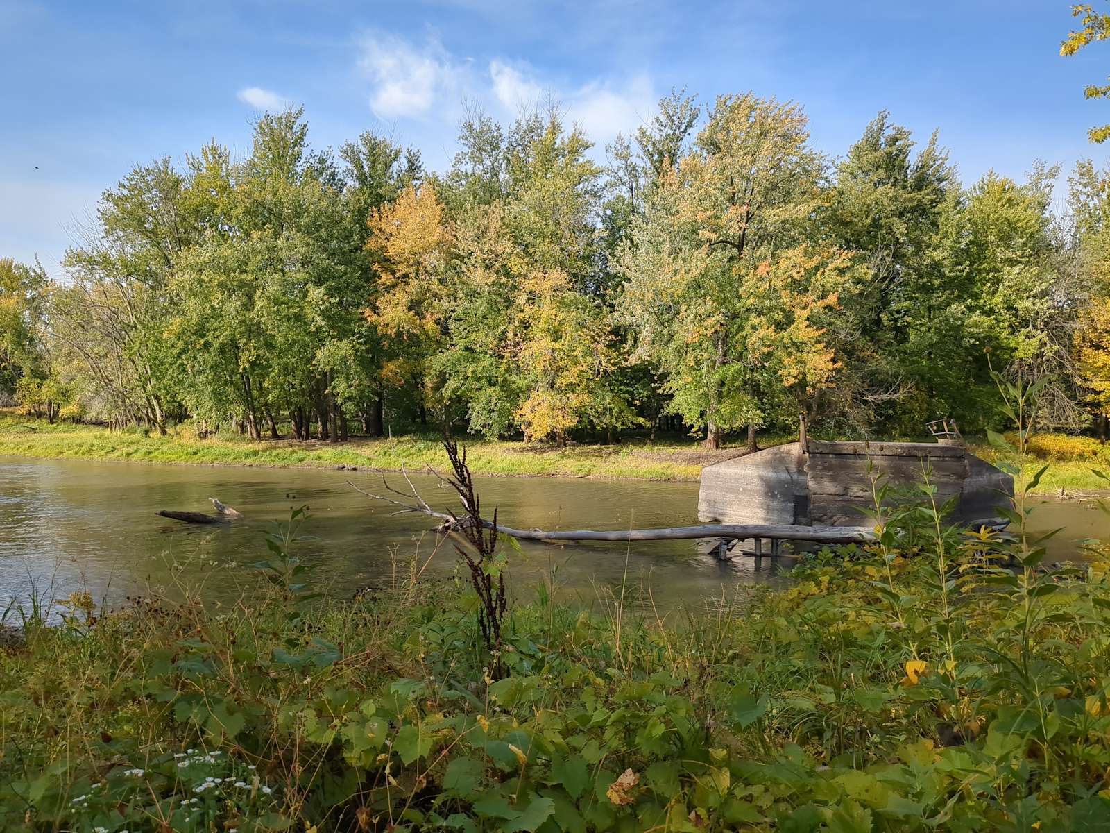 Larson's Landing - Hipcamp in , Minnesota